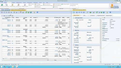 Software: Diamant/3 Finanzbuchhaltung