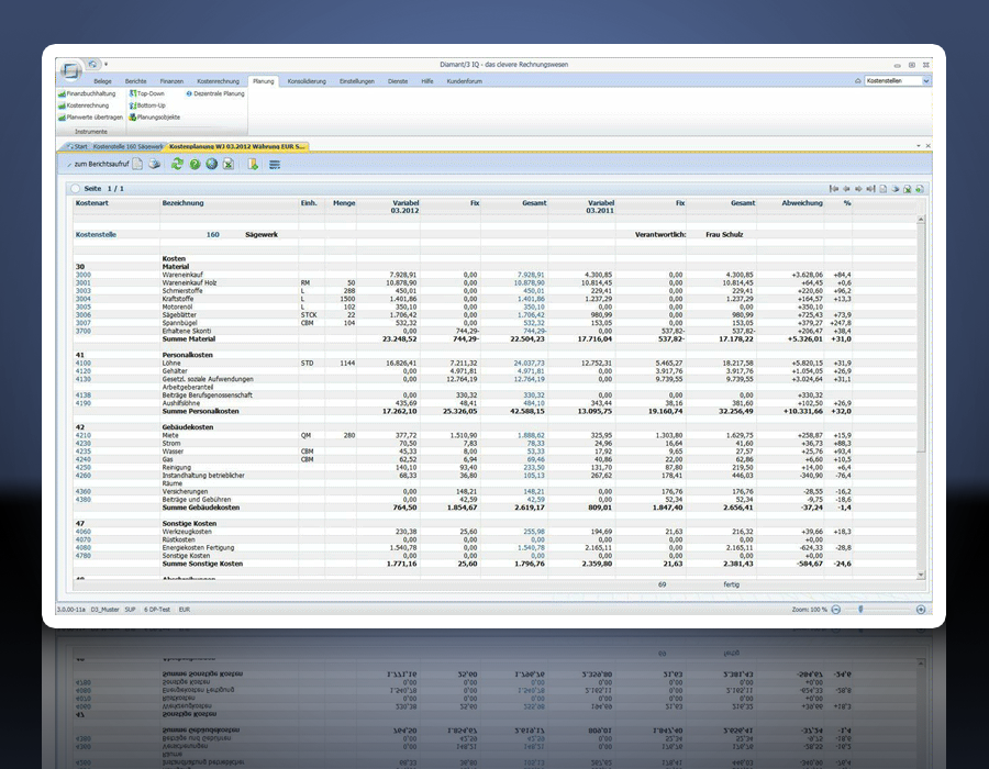 Software: Diamant/3 Kostenrechnung