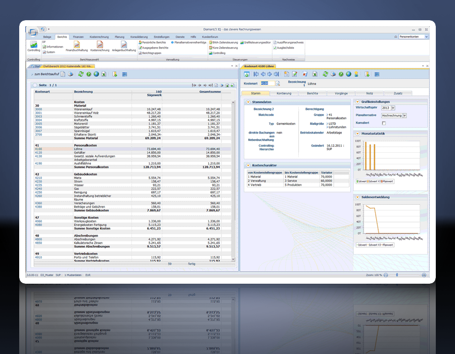 Software: Diamant/3 Kostenrechnung