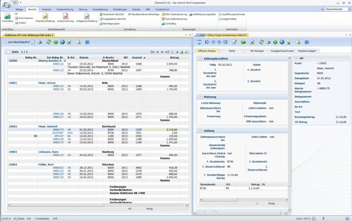 Software: Diamant/3 Rechnungswesen