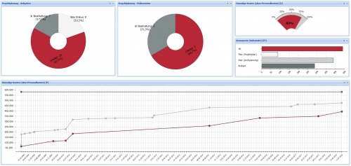 ibo netProject Projektmanagement Software