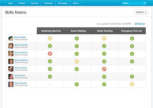 Software: Cornerstone Performance - Management
