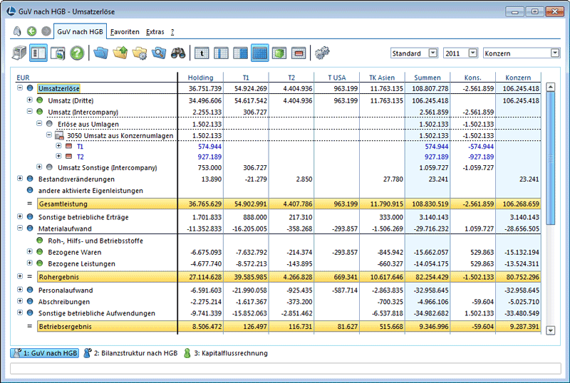 Software: LucaNet.Financial Consolidation - Kapitalflussrechnung