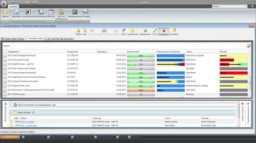 Software: TeamMate AM - Auditmanagement Berichterstattung