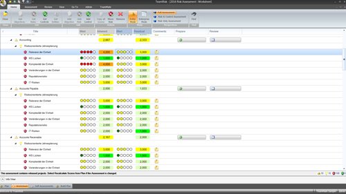 Software: TeamMate AM - Auditmanagement Berichterstattung