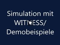 Software: WITNESS - Optimierung